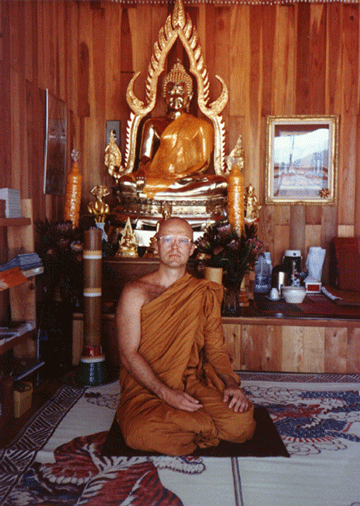 On Bhikkhu Thanissaro